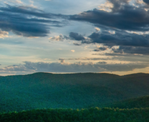 Home Page | Vaya Health