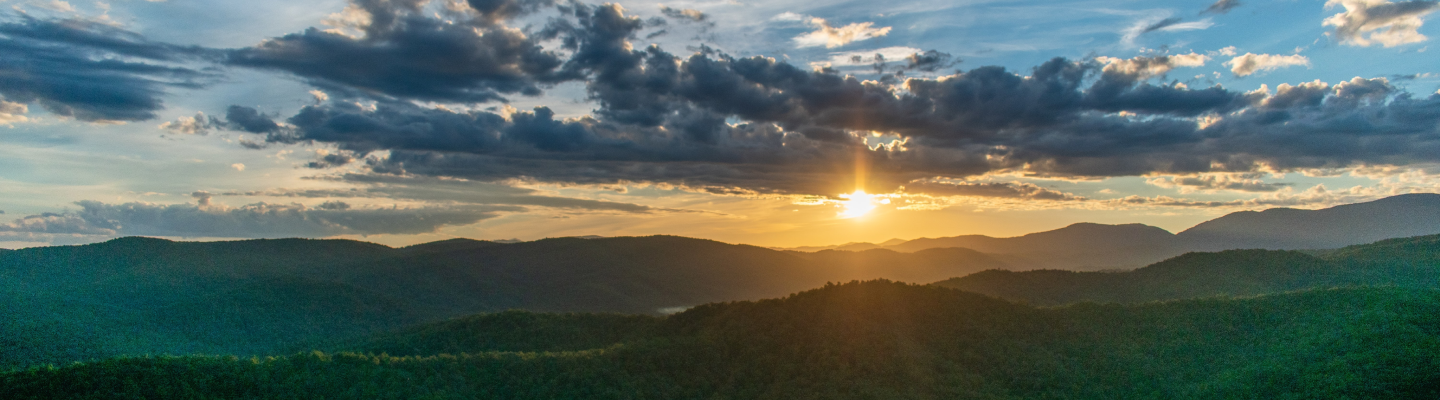 Vaya Health Celebrates 2023 Impact, Enters New Year with Renewed ...